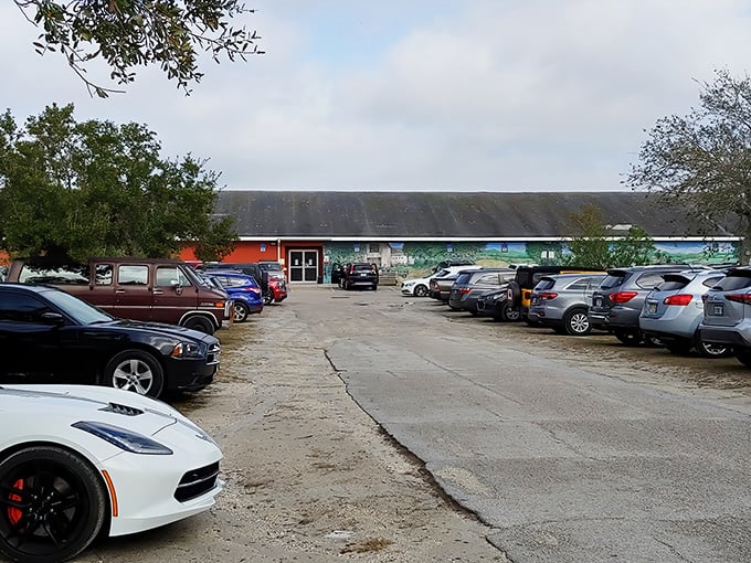 The parking lot fills early with vehicles sporting license plates from across Florida and beyond—early birds get the best bargains.