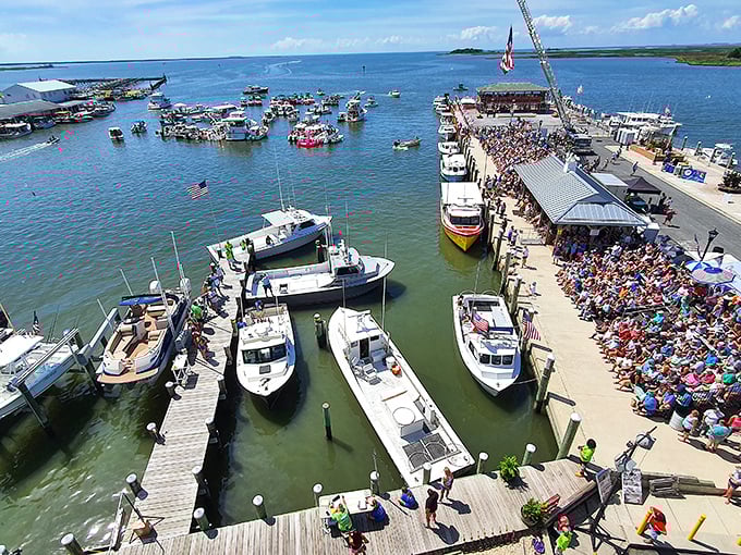 During boat docking competitions, Crisfield transforms into a stadium where watermen become athletes and everyone gets the best seats in the house—absolutely free.
