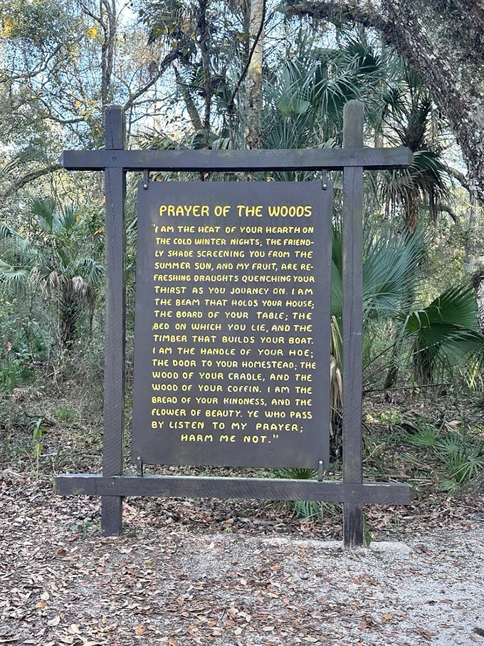 "Prayer of the Woods" – where trees remind us they're not just scenery but the original multi-tasking life support system.