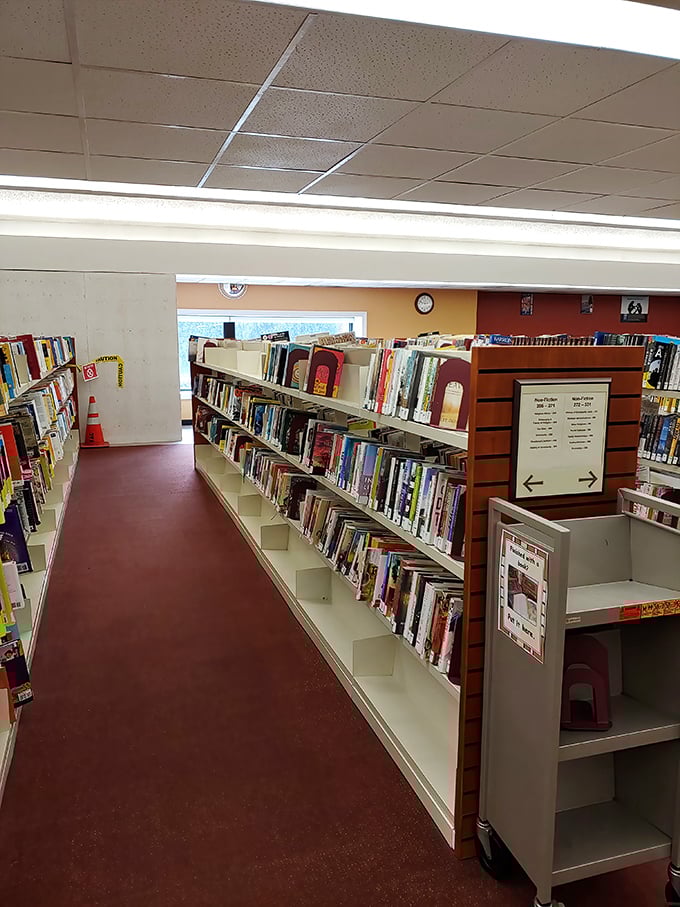 Westminster's public library offers more than just books – it's a community hub where curiosity and connection thrive regardless of age.