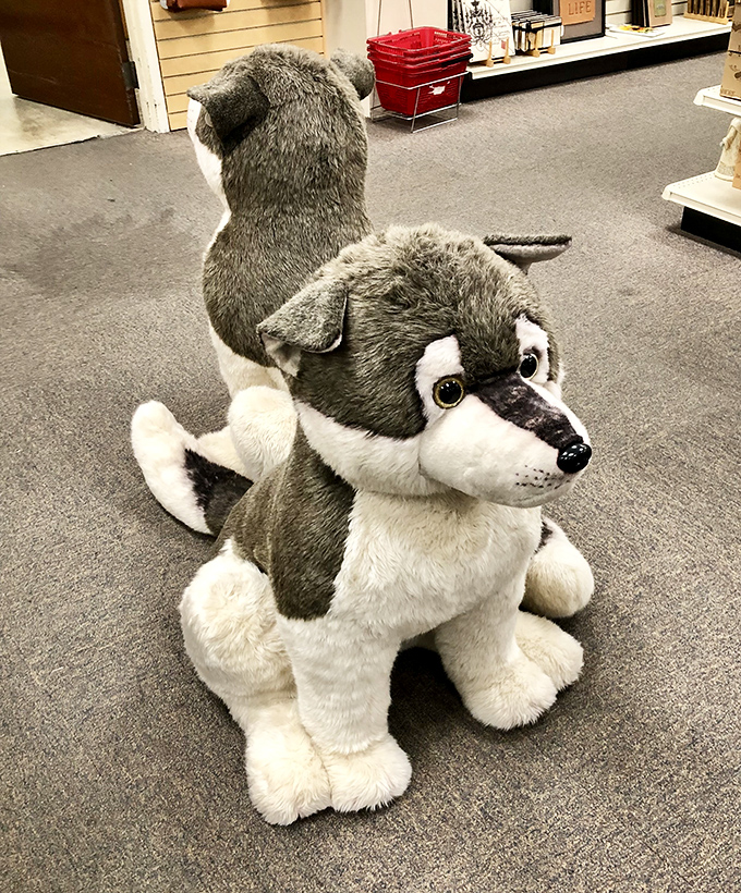 This plush husky isn't just adorable—he's silently judging your willpower as you contemplate whether you really "need" another stuffed animal.