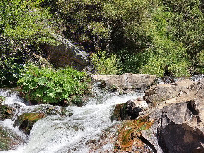 San Antonio Creek Falls doesn't need Instagram filters – Mother Nature already perfected this refreshing mountain cascade thousands of years ago.