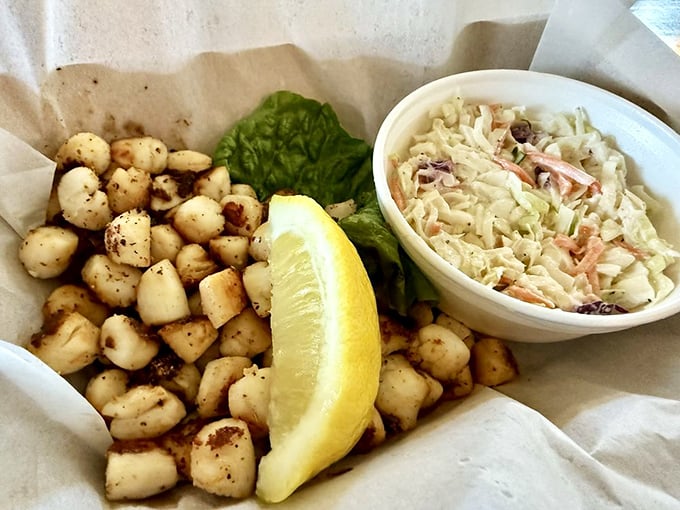 Tender scallops and creamy coleslaw – a pairing so perfect it makes you wonder why anyone would ever eat anything else.