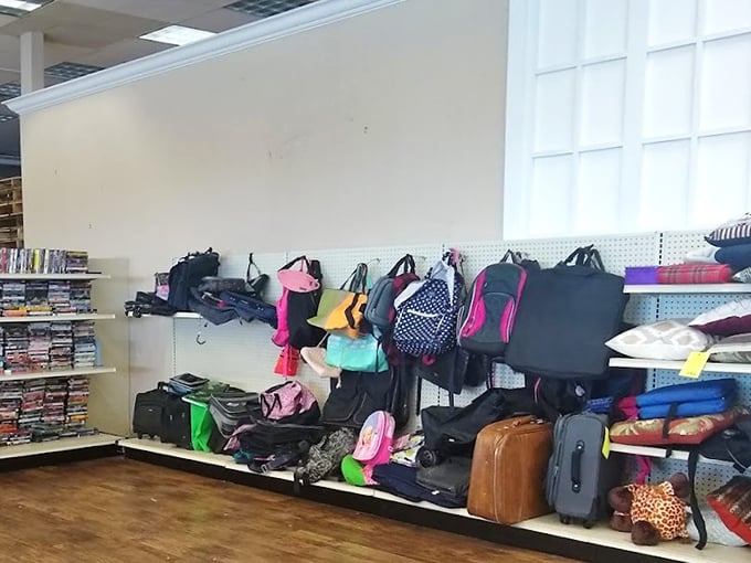 Backpack boulevard offers carrying solutions for every adventure, from kindergarten to cross-country road trips.