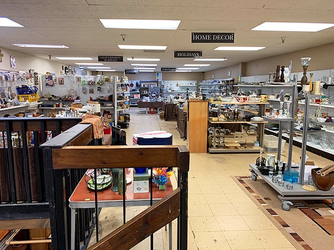 Home décor heaven awaits! From quirky knickknacks to practical treasures, this corner of the store transforms houses into personality-filled homes.