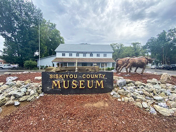 The Siskiyou County Museum announces itself with horse sculptures that seem to say, "Whoa there, partner – history inside!"
