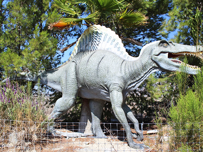 This fearsome Spinosaurus stands guard among desert plants, looking ready to star in the next blockbuster dinosaur movie or your family photo album.