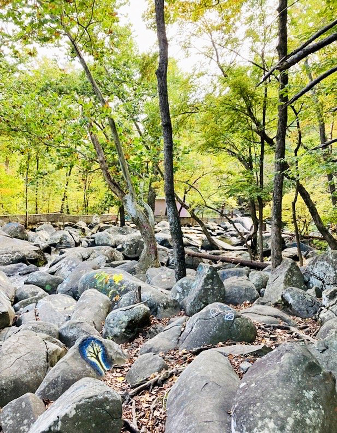 These trails don't just lead through nature—they wind through a rock garden that Mother Nature spent millennia arranging just for your Instagram.