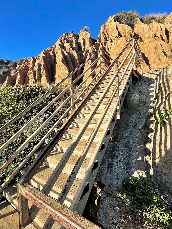 The stairway to heaven is actually a stairway to beach. These wooden steps lead adventurers down to paradise, with each descent revealing new coastal wonders.