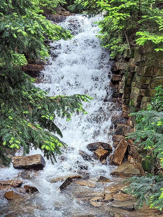 Nature's own shower system—this cascading waterfall provides the perfect soundtrack for forest bathing, minus the actual bathing part.