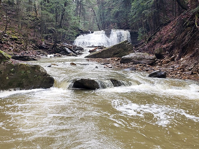 After heavy rain, Freedom Falls transforms from gentle cascade to rushing torrent. This is nature's way of showing off—Pennsylvania style—with raw power and untamed beauty. 