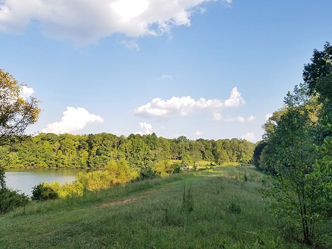 Summer's palette on full display – where emerald forests meet azure skies and golden meadows, creating a landscape worthy of your phone's home screen.