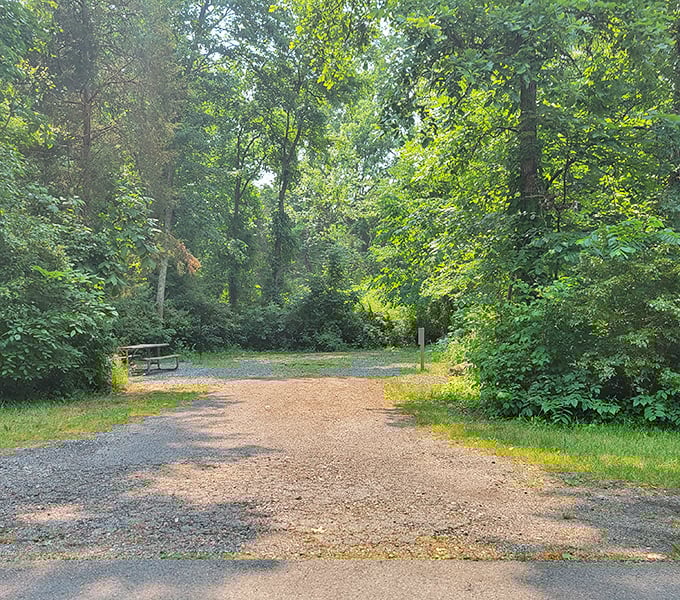 Shaded campsites offer nature's air conditioning, where the path leads to adventures that won't show up in your work emails.