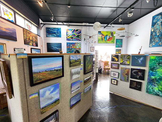 The Art Space on 211 showcases local talent in a gallery where Shenandoah Valley landscapes hang beside contemporary works—creativity with mountain roots.