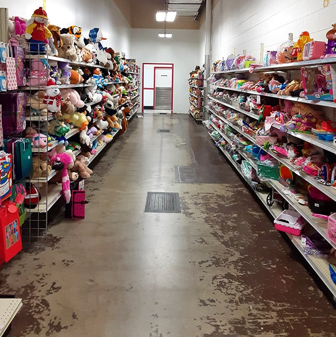 The toy aisle: where childhood dreams line the shelves and parents' wallets don't need to have nightmares.
