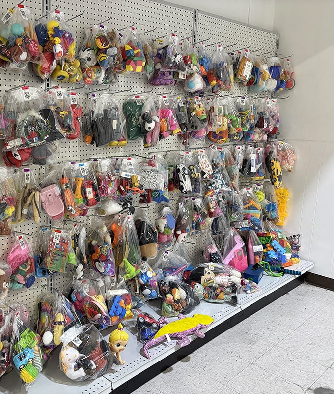Bagged toys line the walls like a plastic menagerie – childhood memories sealed in clear plastic, waiting for their next playtime adventure.