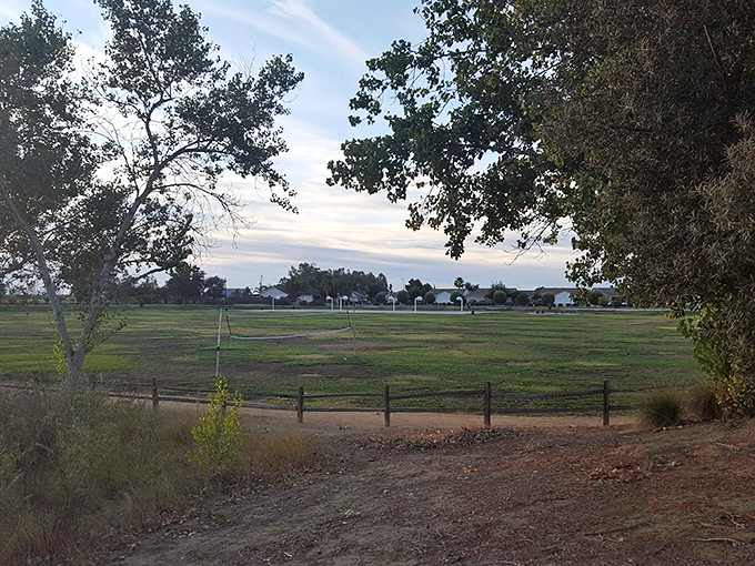 Valley Vista Park offers sweeping views that remind you why California's landscapes have inspired generations—no admission fee required for this natural masterpiece.