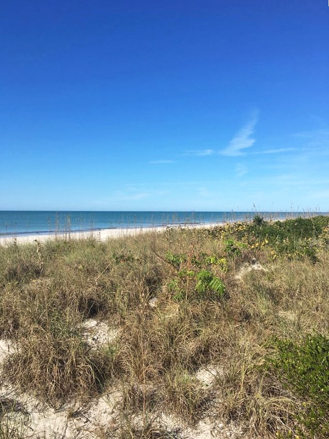 The dune's-eye view reveals what makes Florida special—that perfect meeting point where golden grasses bow to turquoise waters.