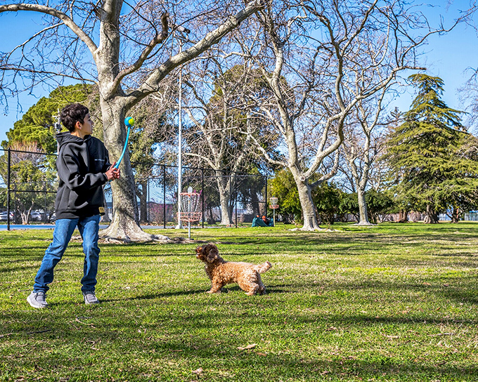 In Vinsonhaler Park, locals enjoy simple pleasures like playing fetch with four-legged friends – the kind of everyday joy that doesn't appear on any retirement calculator. 