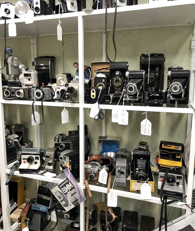 A photographer's paradise of vintage cameras – each one representing someone's captured memories and now waiting for a second life with a new generation.