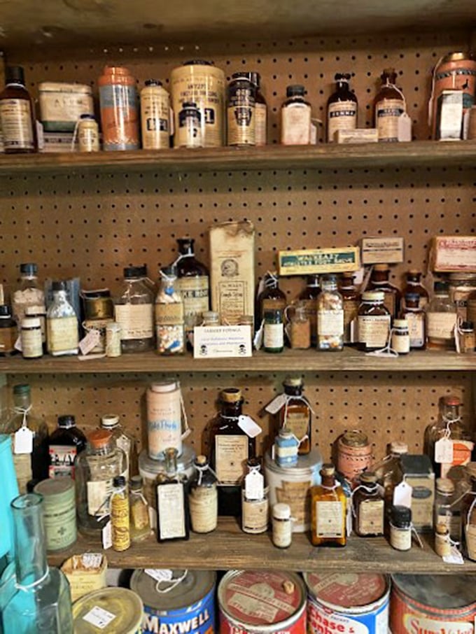 Grandma's medicine cabinet meets museum display. These amber bottles once held everything from miracle cures to actual medicine—sometimes both!