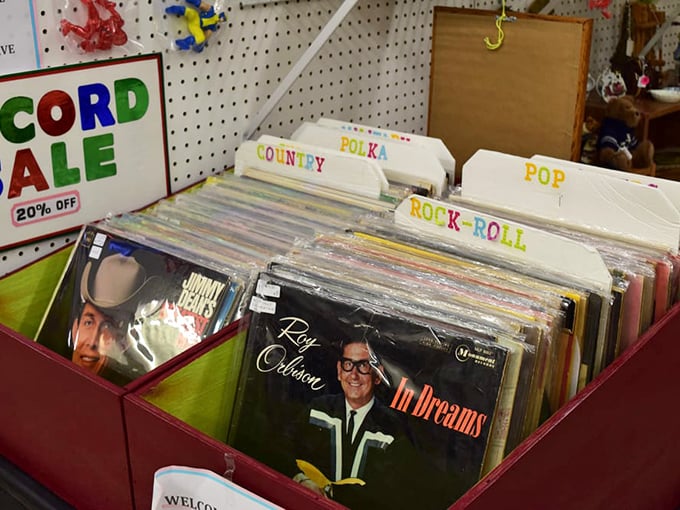 Vinyl treasures organized by genre—because nothing says "I have sophisticated taste" like a vintage Roy Orbison album.