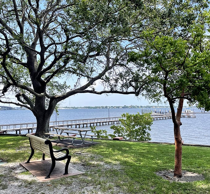 Waterfront benches offer front-row seats to nature's daily performance—no tickets required, just bring your own coffee and appreciation for slower rhythms.