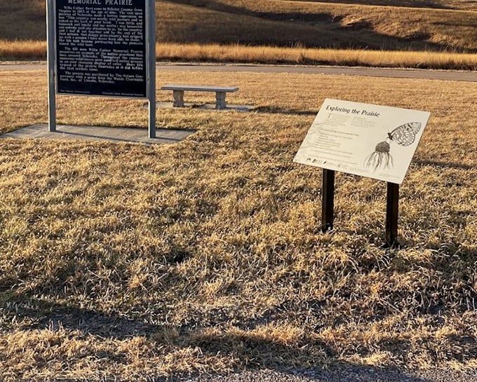 The Willa Cather Memorial Prairie offers a glimpse of what settlers first encountered – both terrifyingly vast and breathtakingly beautiful.
