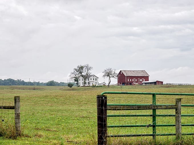 The quintessential American pastoral scene that city folks pay artists to paint on their walls, while country folks just call it "the view." 