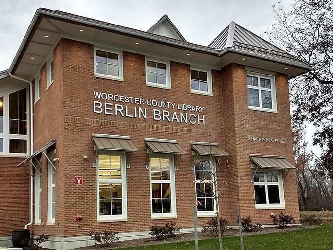 Berlin's library isn't just about books—it's a community hub where retirees discover everything from digital literacy to new friends with similar page-turning interests.