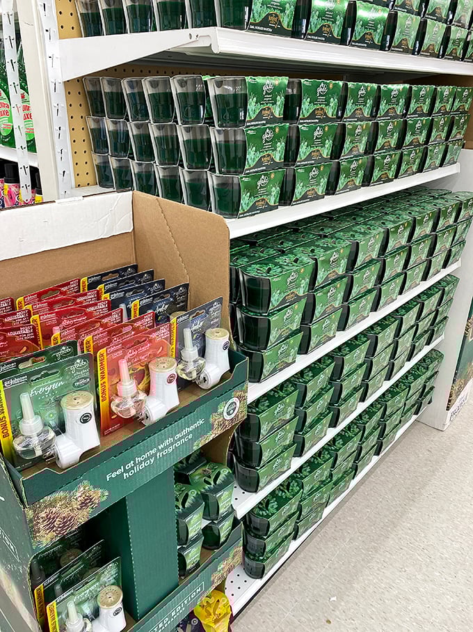 Air fresheners stacked with military precision—because nothing says "I've got my life together" like a home that smells like cinnamon apple.