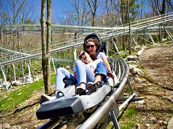 The alpine coaster delivers screams and smiles in equal measure—proof that gravity is still the most reliable source of entertainment in the mountains.