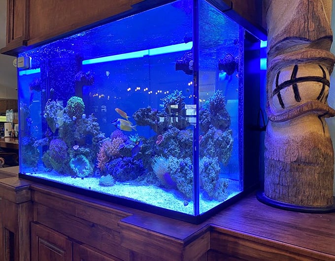 The restaurant's saltwater aquarium – where fish can watch diners eat their relatives while contemplating the circle of life.