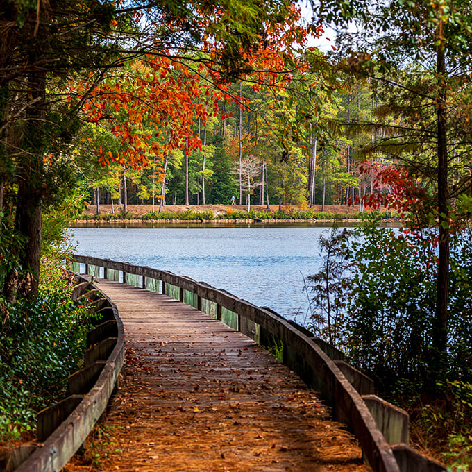 Fall in South Carolina—where Mother Nature shows off her painting skills. The original Instagram filter we can't get enough of.