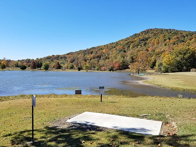 Fall transforms Indian Mountain into nature's color palette, where even amateur photographers suddenly feel like landscape artists.