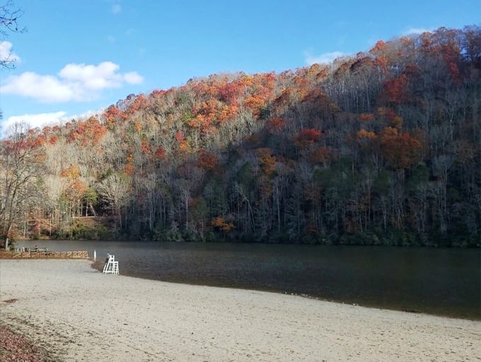 Autumn transforms this shoreline into nature's most spectacular art gallery, admission completely free and photos encouraged.