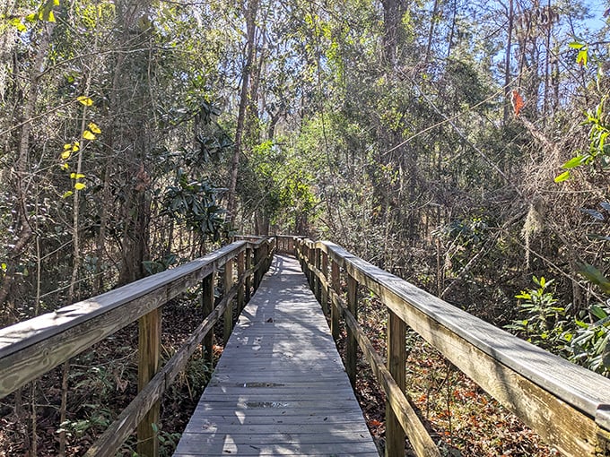 Boardwalk trails that lead to discoveries better than any treasure map your grandfather ever drew.