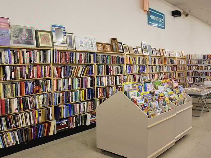 Books and artwork create a cultural treasure trove where knowledge and beauty meet bargain prices beautifully.
