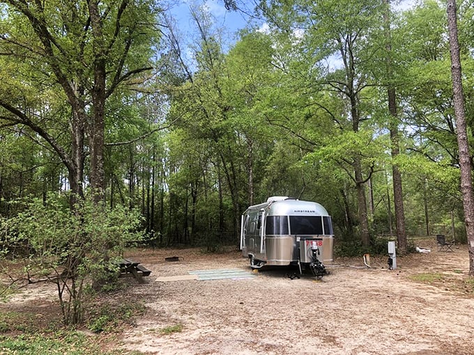 Airstream dreams among the pines – camping that combines vintage style with wilderness, like glamping before it was cool.