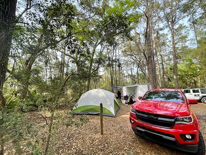 Camping with a side of wilderness—where your tent neighbors might include owls, deer, and the occasional curious raccoon.