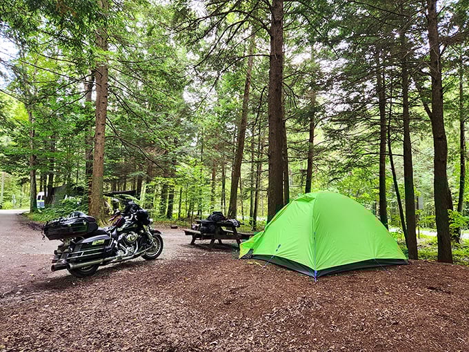 Home sweet temporary home! This campsite proves you don't need 500-thread-count sheets to have a five-star wilderness experience. 