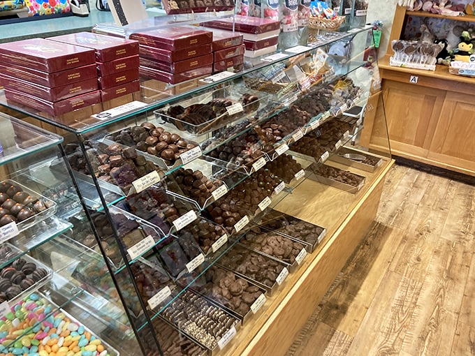 The chocolate display case—where adults press their noses against glass just like they did as children. Some things you never outgrow. 
