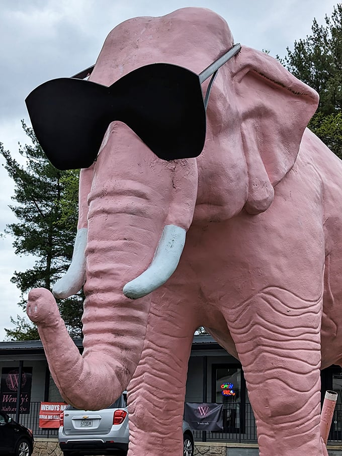 Those oversized sunglasses give Ellie an unmistakable personality, transforming what could be just concrete into a character with attitude and charm.