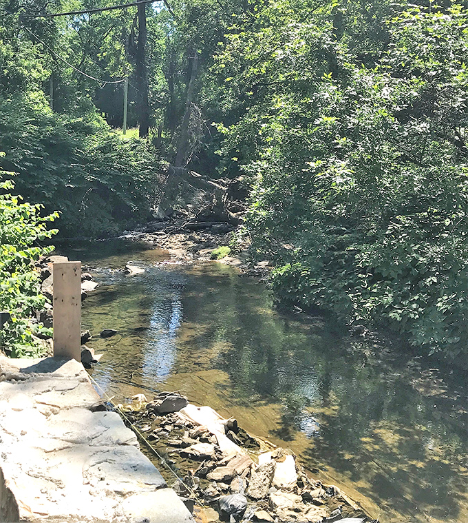 The creek offers a cooling respite on summer days – sunlight dappling through leaves onto crystal-clear waters.
