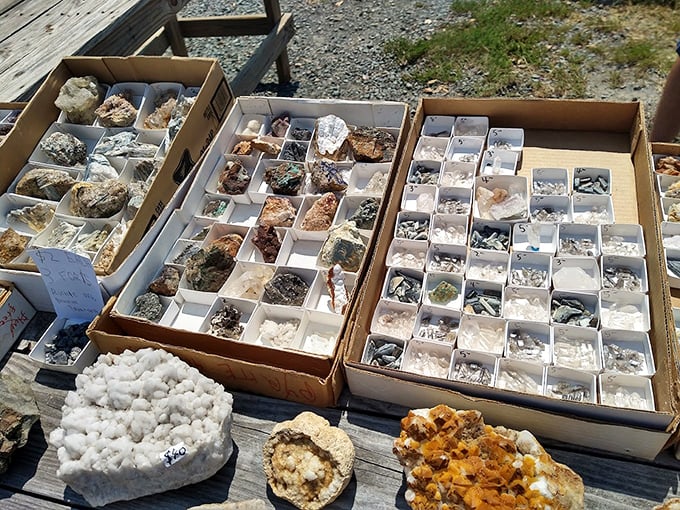 Nature's jewelry box spilled open—these crystals and minerals promise either geological fascination or mystical powers, depending on who you ask.