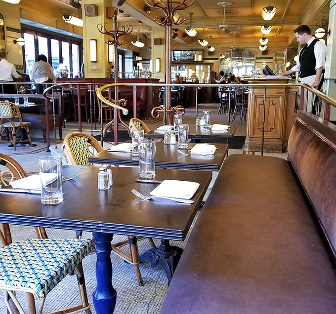 The dining area isn't just a room—it's theater-in-the-round where every table offers a view of life's most delicious performance.
