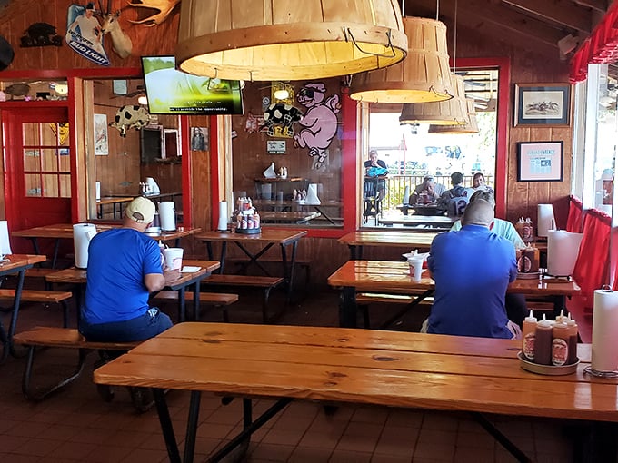 Picnic tables under barrel lampshades—where strangers become friends united by the universal language of "mmm" and "pass the napkins."