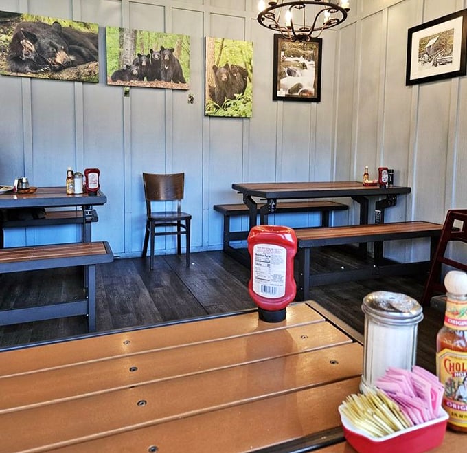 Local wildlife adorns the walls while wooden tables invite conversation—a dining room that feels like your coolest friend's mountain cabin.