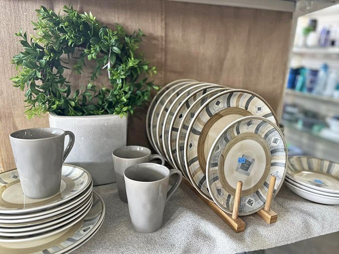 Modern dinnerware sets arranged with showroom precision—perfect for those "my kitchen needs a refresh but my wallet needs a break" moments.