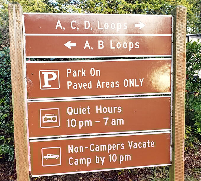 Choose your own adventure! The park's trail system offers loops for every ability level, from casual strollers to dedicated hikers.